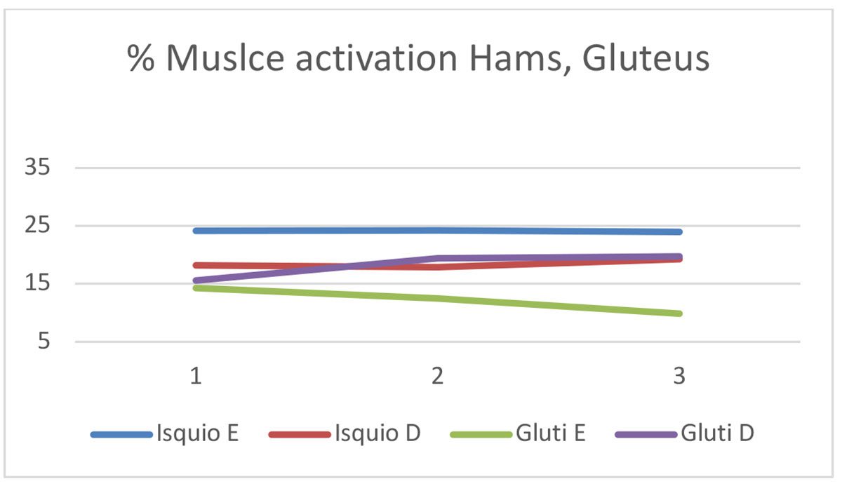 Hamstring-Verletzung - sportärztezeitung Gluteus-Muskulatur