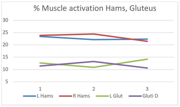 Hamstring-Verletzung - sportärztezeitung Gluteus-Muskulatur