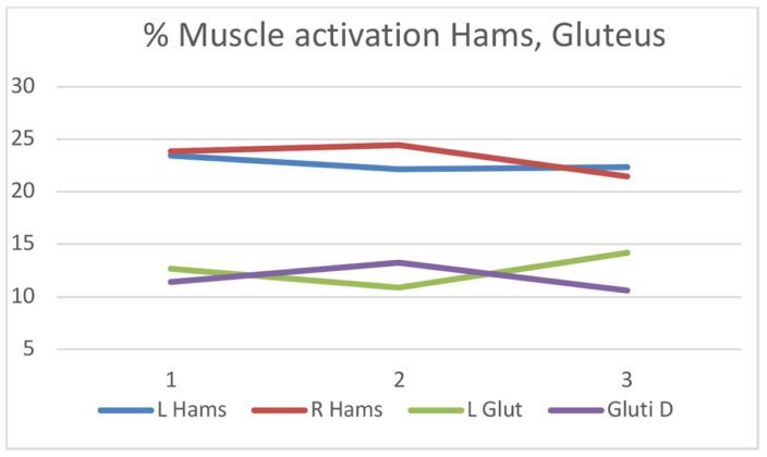 Hamstring-Verletzung - sportärztezeitung Gluteus-Muskulatur
