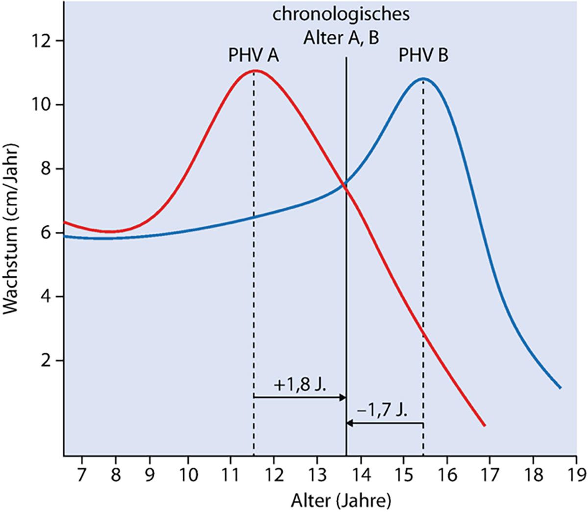 Bio-Banding - biologischer Reifegrad sportärztezeitung