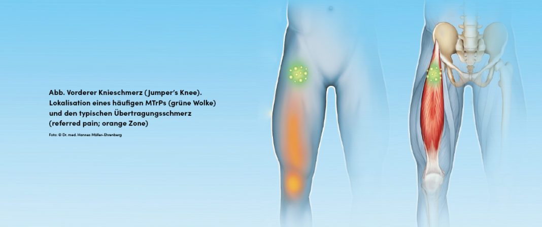Startseite - sportärztezeitung