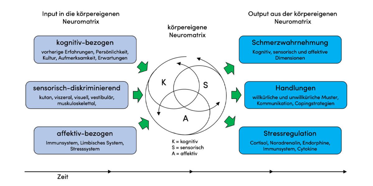 Pain Neuroscience Education