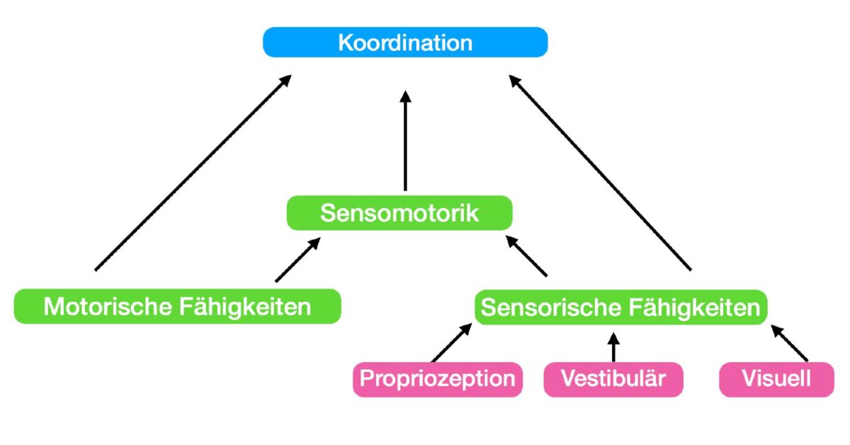 Sensomotorisches Training
